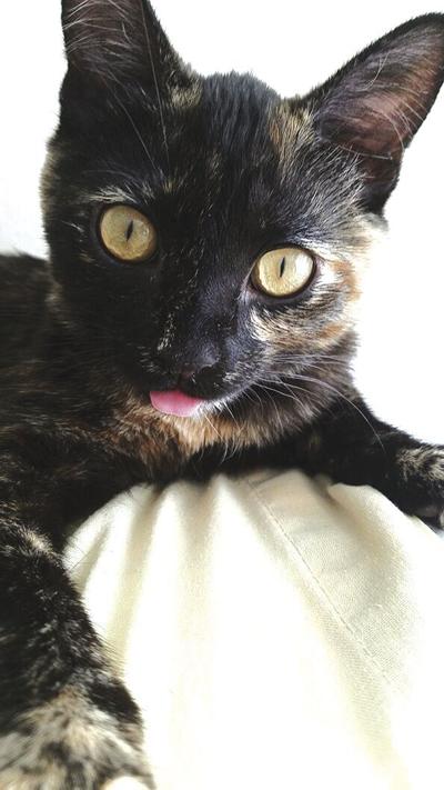 Hints From Heloise | Lifestyles | latrobebulletinnews.com