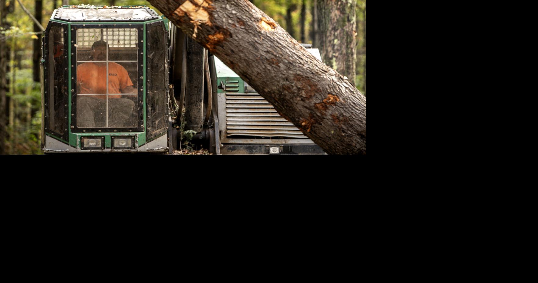 Roadless Rule repeal won’t affect Allegheny National Forest, Forest ...