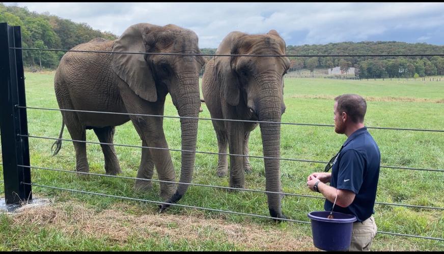 Behind the scenes look at the Pittsburgh Zoo and Aquarium's ...
