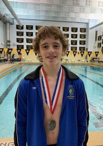 A pair of Derry Area divers headed to states after success at WPIAL ...