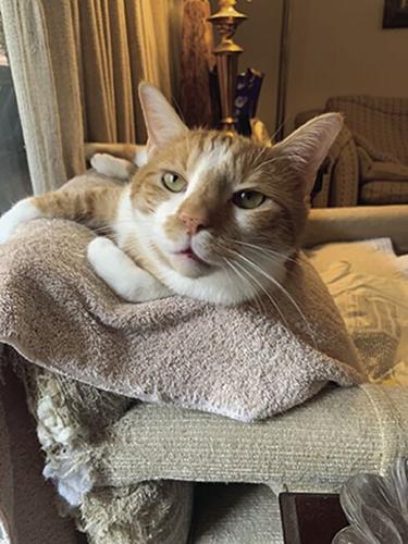 Hints From Heloise | Lifestyles | latrobebulletinnews.com