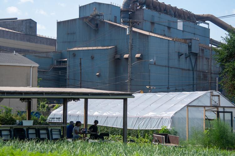 Produce for the people | Local News | latrobebulletinnews.com