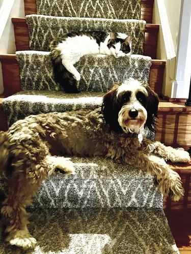 Hints From Heloise | Lifestyles | latrobebulletinnews.com