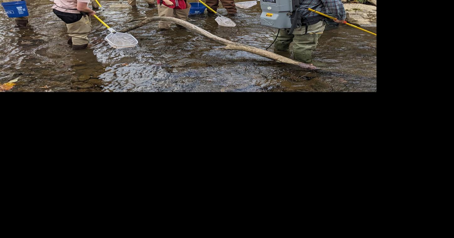 GL Capstone students complete electrofishing survey | Education | latrobebulletinnews.com