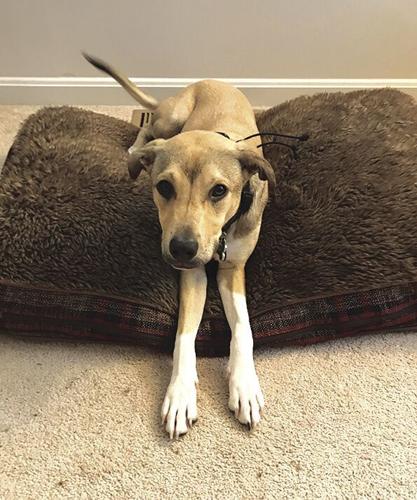 Hints From Heloise | Lifestyles | latrobebulletinnews.com