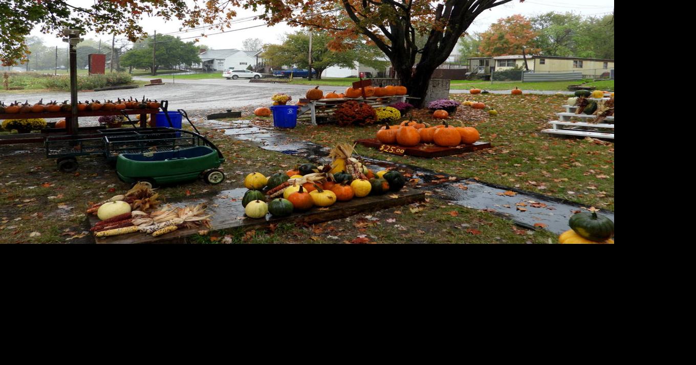 Pleasant Unity Pumpkin Patch makes Halloween brighter for kids | Local ...