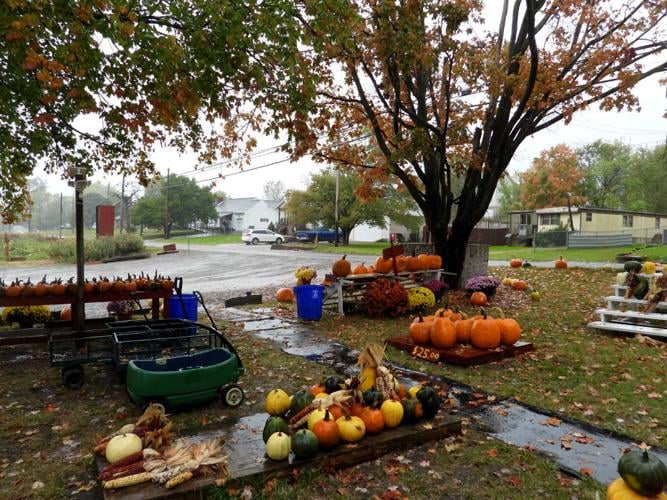 Pleasant Unity Pumpkin Patch makes Halloween brighter for kids | Local ...