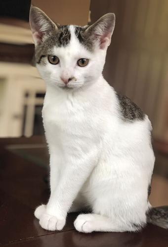 Hints From Heloise | Lifestyles | latrobebulletinnews.com