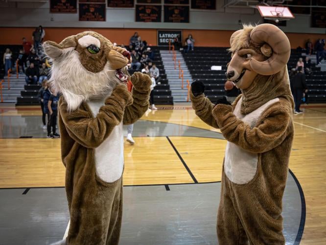 GL-LV Interact reverse basketball game raises $3,000 for animal rescues ...