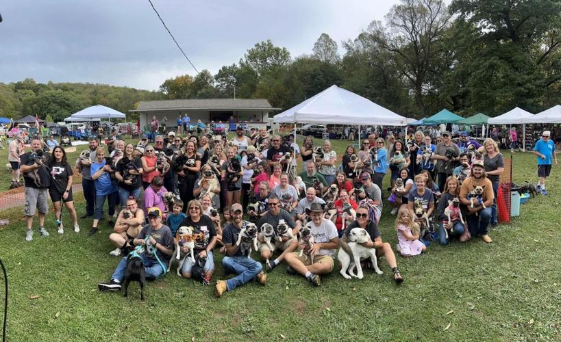 Pug Fest was great success for rescue | Local News ...