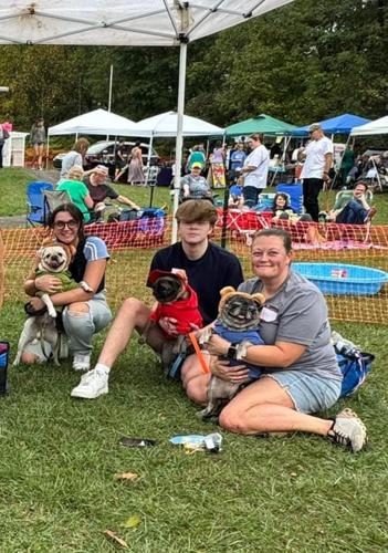Pug Fest was great success for rescue | Local News ...