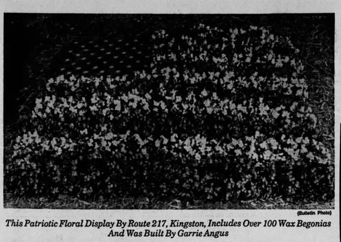 Derry Township man brings ‘plants’ American flag on Route 217 | Local ...