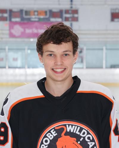 IceCats honor senior group with dominating win against Norwin | Local ...