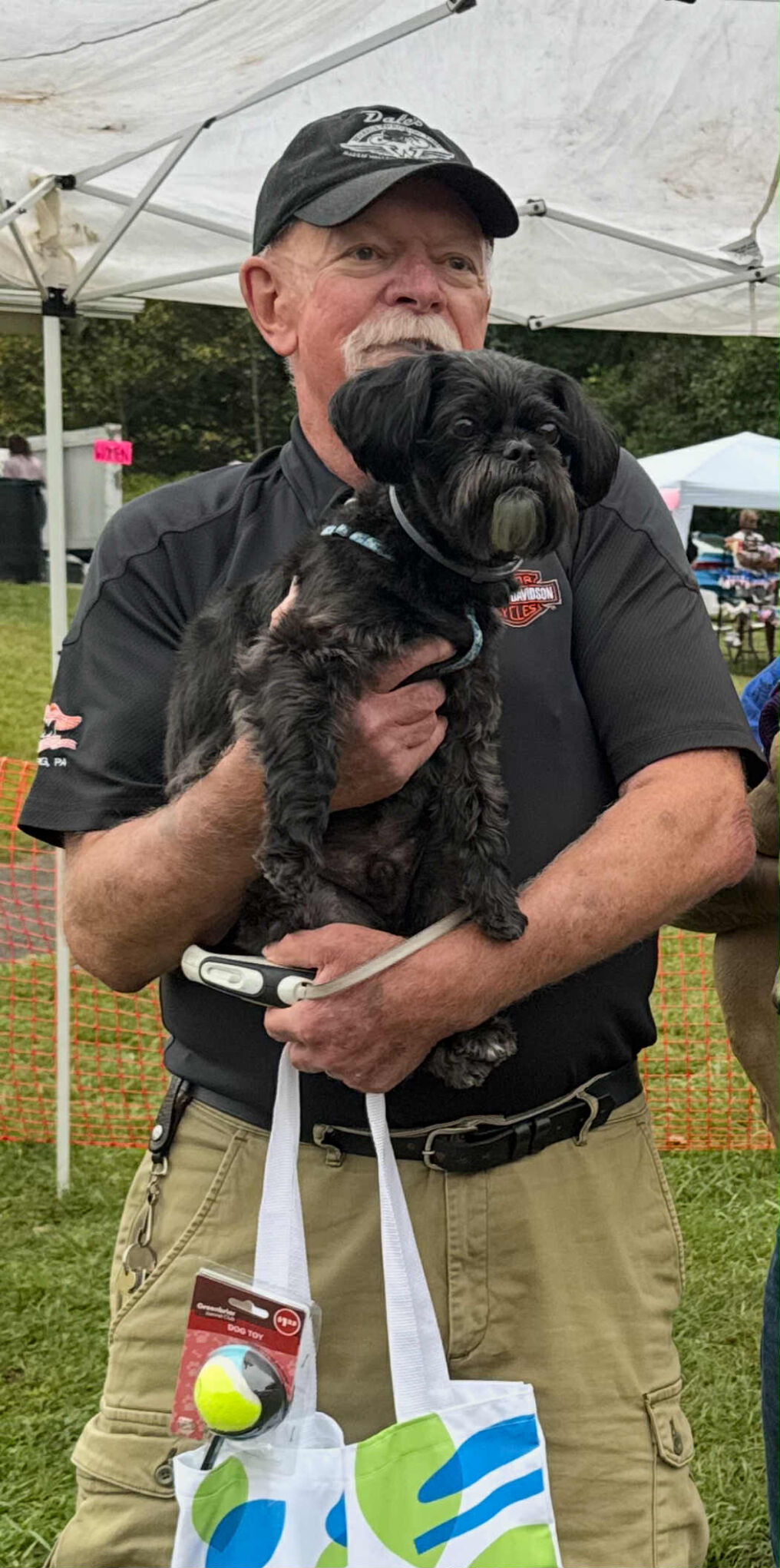 Pug fest brings characters, awareness | Local News ...