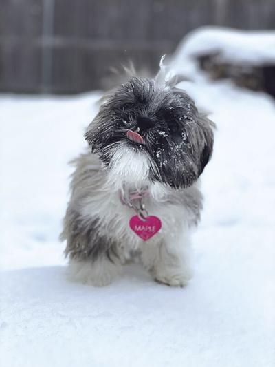 Hints From Heloise | Lifestyles | latrobebulletinnews.com