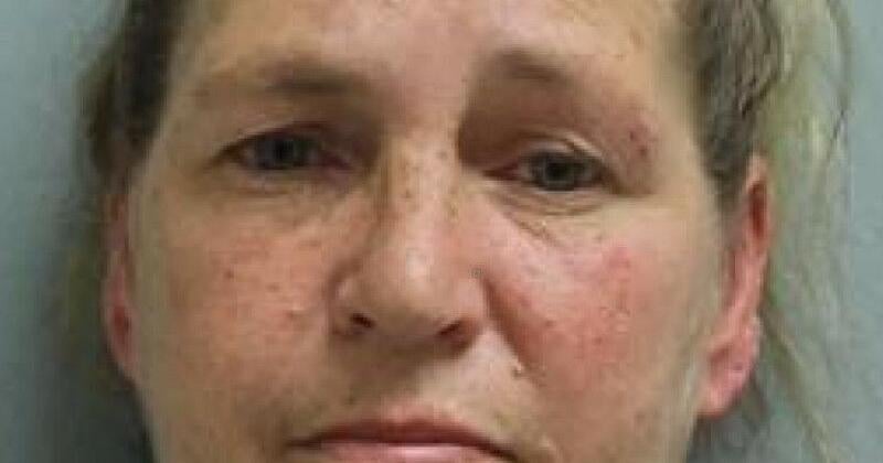 DA: Jamie Harr to serve 7-14 years in jail for abusing young teen ...