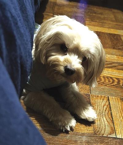 Hints From Heloise | Lifestyles | latrobebulletinnews.com