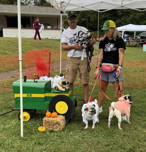 Pug fest brings characters, awareness | Local News ...