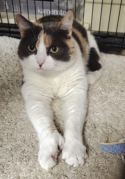 Hints From Heloise | Lifestyles | latrobebulletinnews.com