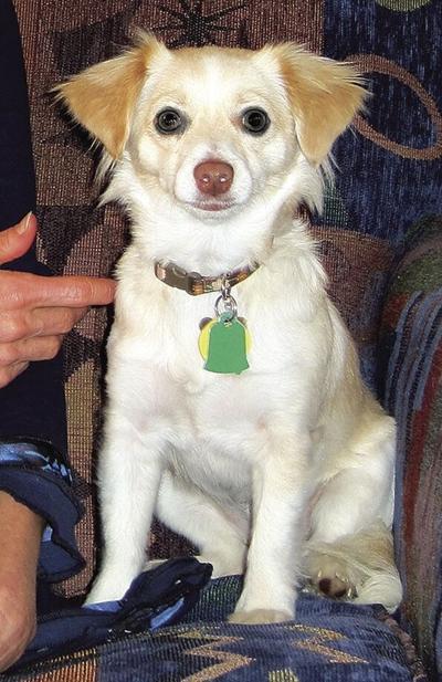 Hints From Heloise | Lifestyles | latrobebulletinnews.com