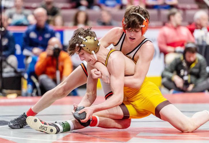 GL's Kilkeary wins second PIAA wrestling title as Willochell takes ...