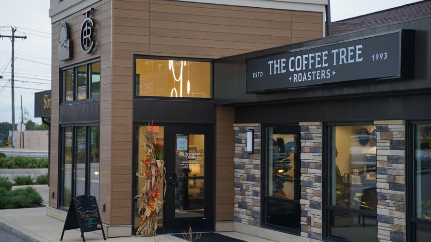 coffee tree roastery