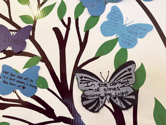 Messages of support: Wall of Hope butterfly garden ready for Children’s ...