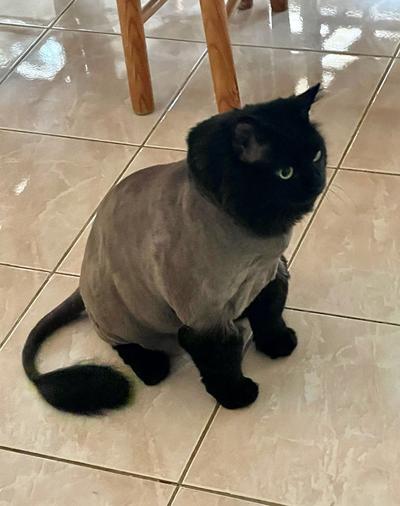 Hints From Heloise | Lifestyles | latrobebulletinnews.com