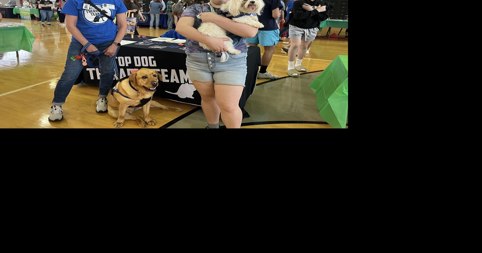 GLSD hosts 2nd annual Wildcat Wellness Day | Education ...