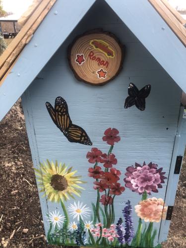 Scout builds three Little Free Libraries for Eagle project | Local News ...