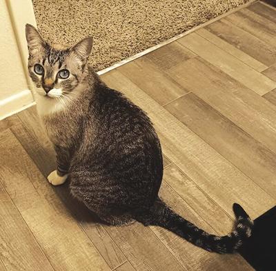 Hints From Heloise | Lifestyles | latrobebulletinnews.com