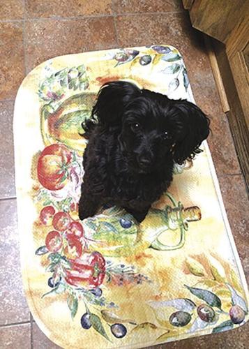 Hints From Heloise | Lifestyles | latrobebulletinnews.com