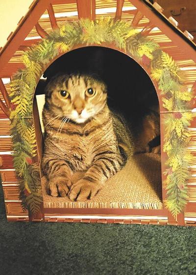 Hints From Heloise | Lifestyles | latrobebulletinnews.com