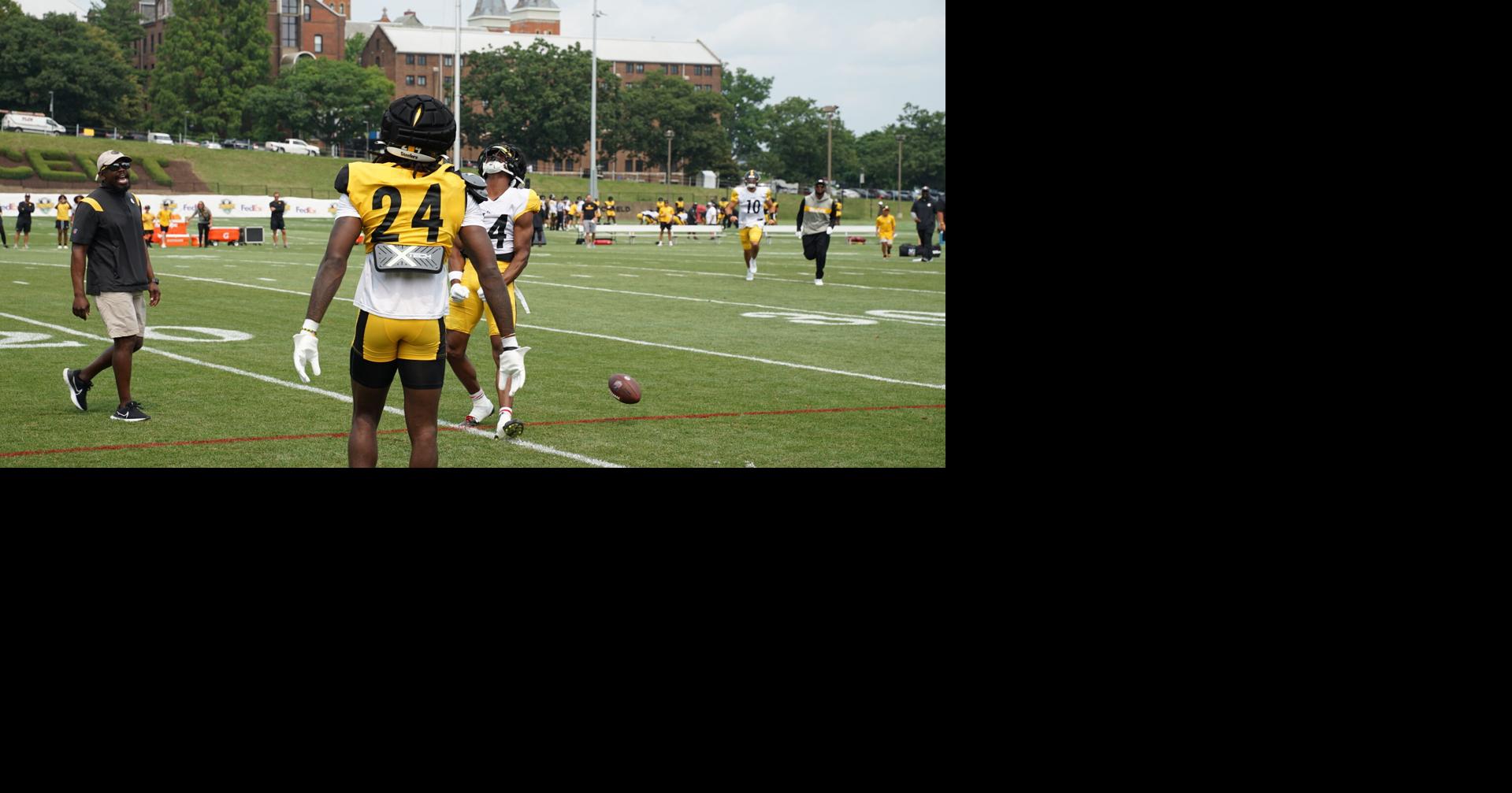 New-look Steelers sure to bring summer excitement in return to SVC ...