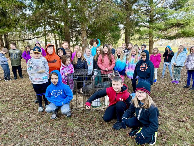 Blue slate turkeys visit Baggaley Elementary School | Education ...