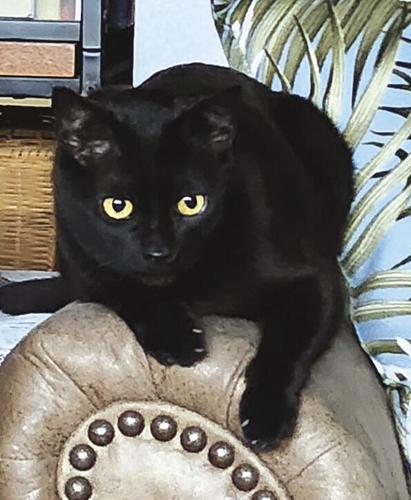 Hints From Heloise | Lifestyles | latrobebulletinnews.com