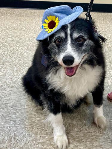 Hints From Heloise | Lifestyles | latrobebulletinnews.com