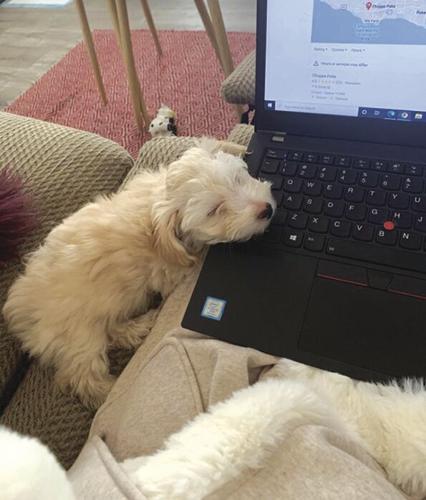 Hints From Heloise | Lifestyles | latrobebulletinnews.com