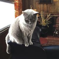 Hints From Heloise | Lifestyles | latrobebulletinnews.com