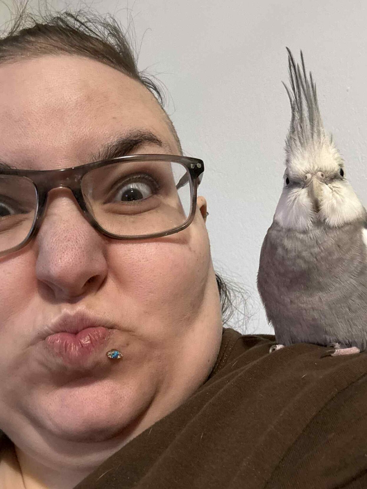 Runaway bird nabbed when he stopped for dinner in Rector | Local News ...