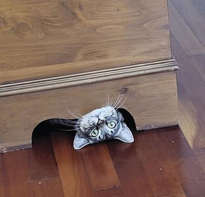 Hints From Heloise | Lifestyles | latrobebulletinnews.com