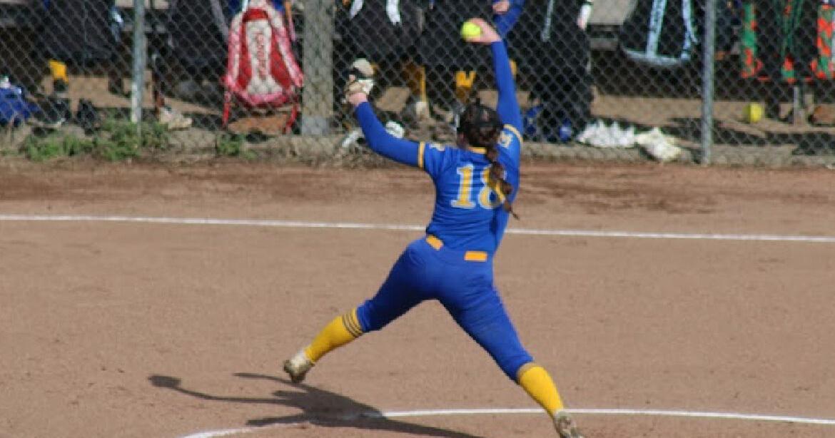 Lady Trojans no match for Elizabeth Forward without ace Haylee Myers ...