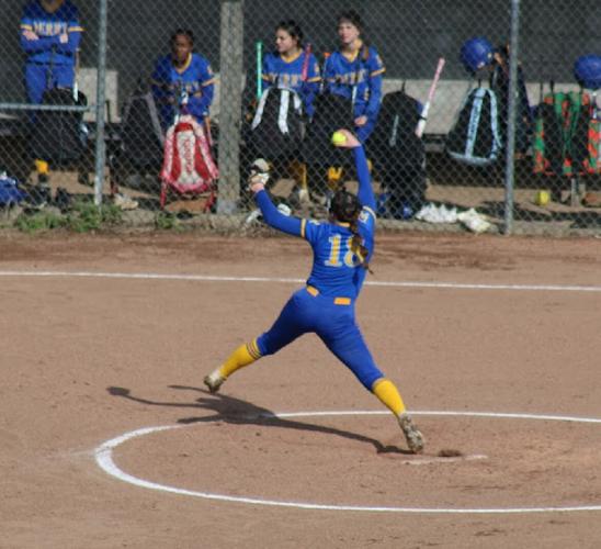 WPIAL unveils softball playoff brackets | Local Sports ...