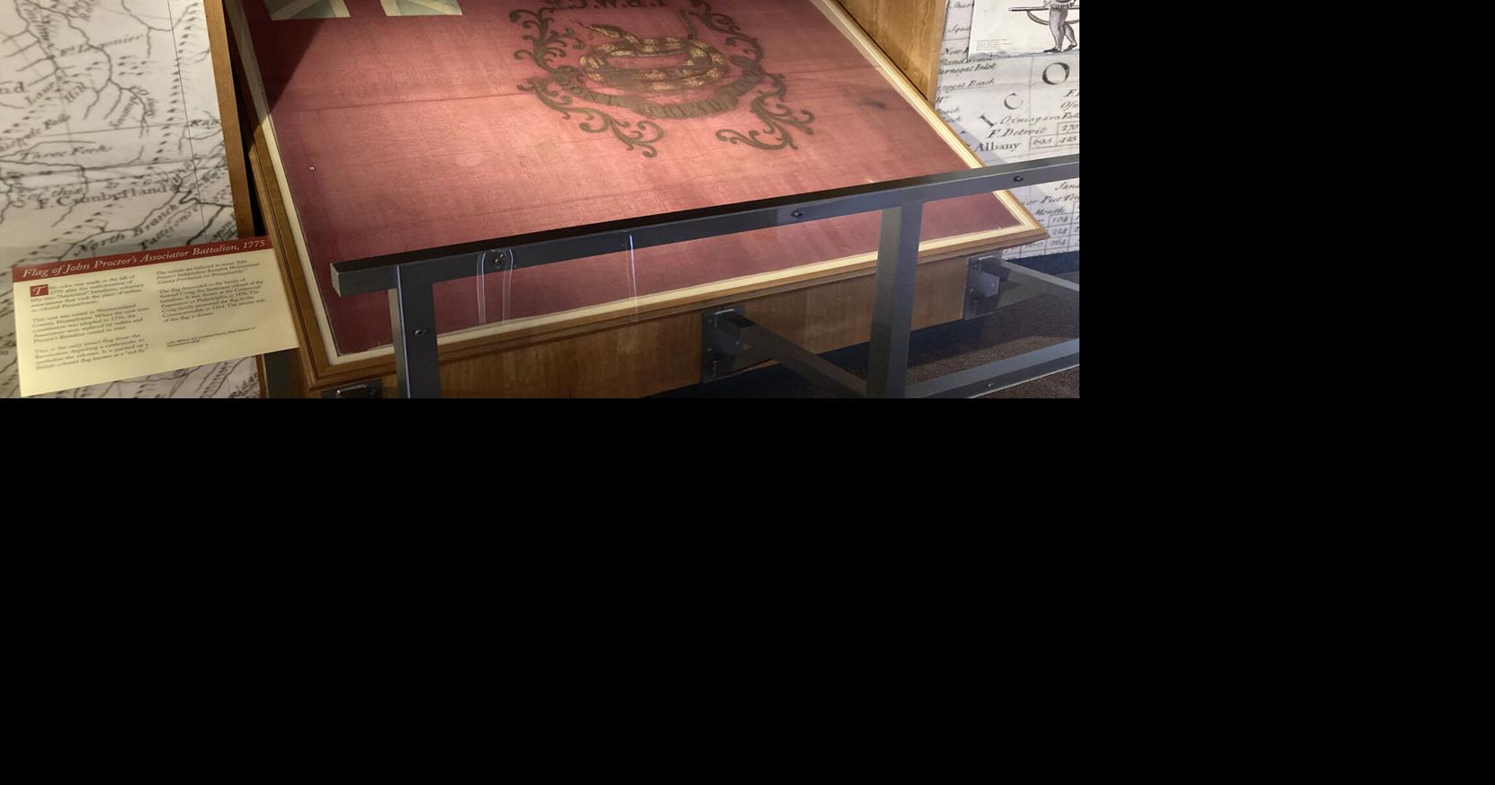 Don’t Tread on Me: The Flag of Colonel John Proctor’s 1st Battalion of ...