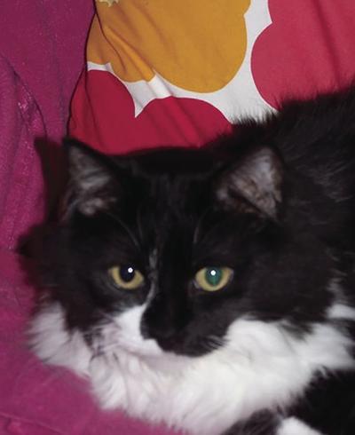 Hints From Heloise | Lifestyles | latrobebulletinnews.com