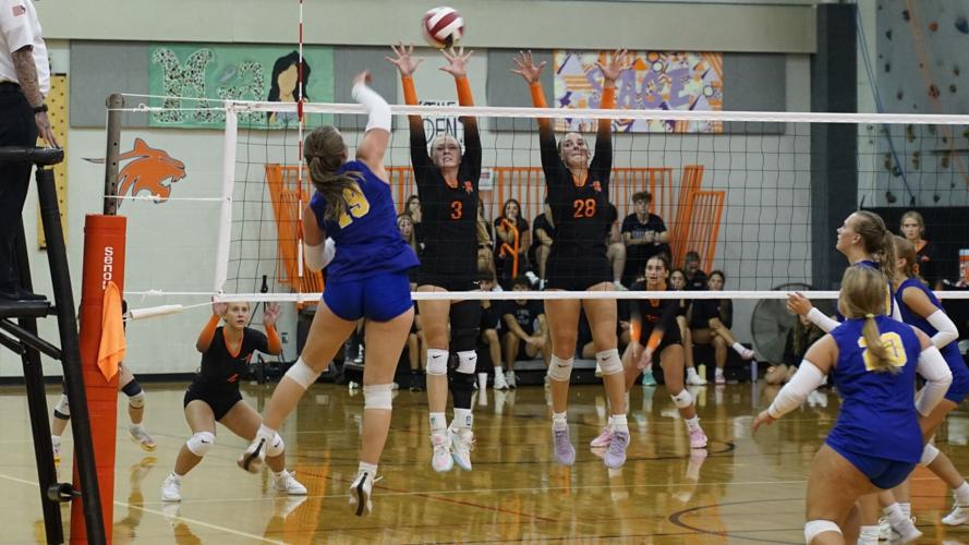 Lady Wildcats win crosstown matchup over Derry Area | Local Sports ...