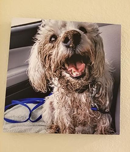 Hints From Heloise | Lifestyles | latrobebulletinnews.com