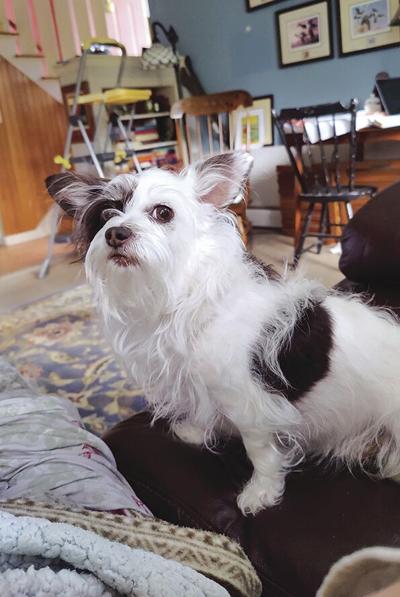 Hints From Heloise | Lifestyles | latrobebulletinnews.com