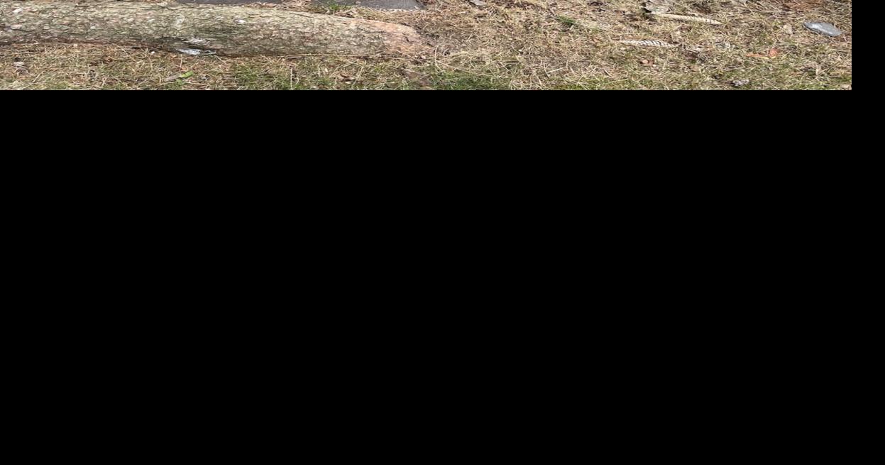 31 Revolutionary War veterans buried in Unity Cemetery | Local News ...