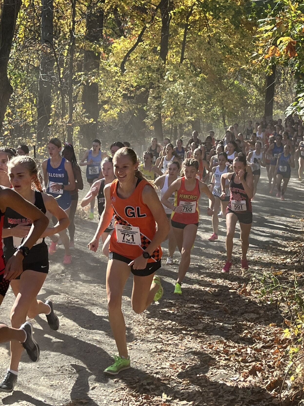 Runners from Greater Latrobe and Derry Area take on PIAA cross-country ...
